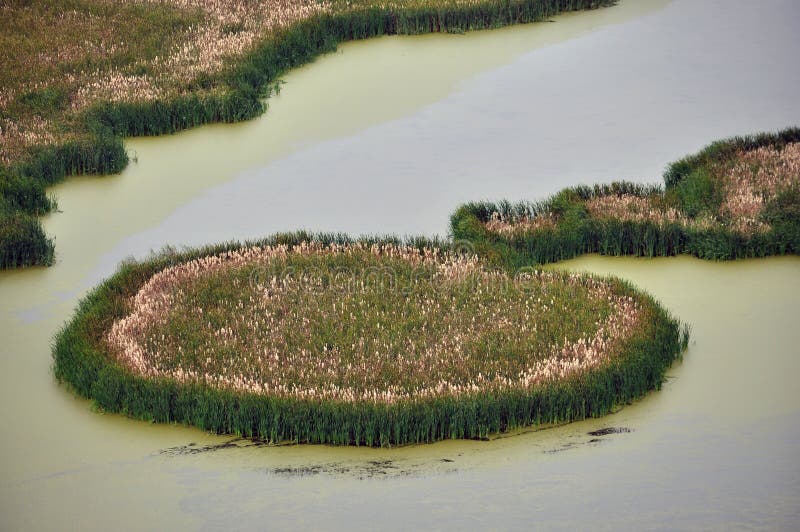River islet and landscape stock image. Image of nature - 127344419