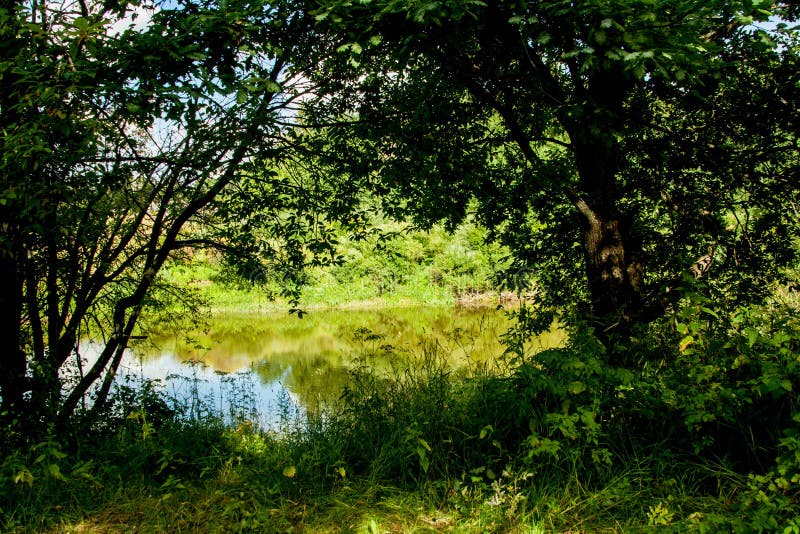 River and Its Banks. Trees Along Both Sides of the Water. Sky is Cloudy ...