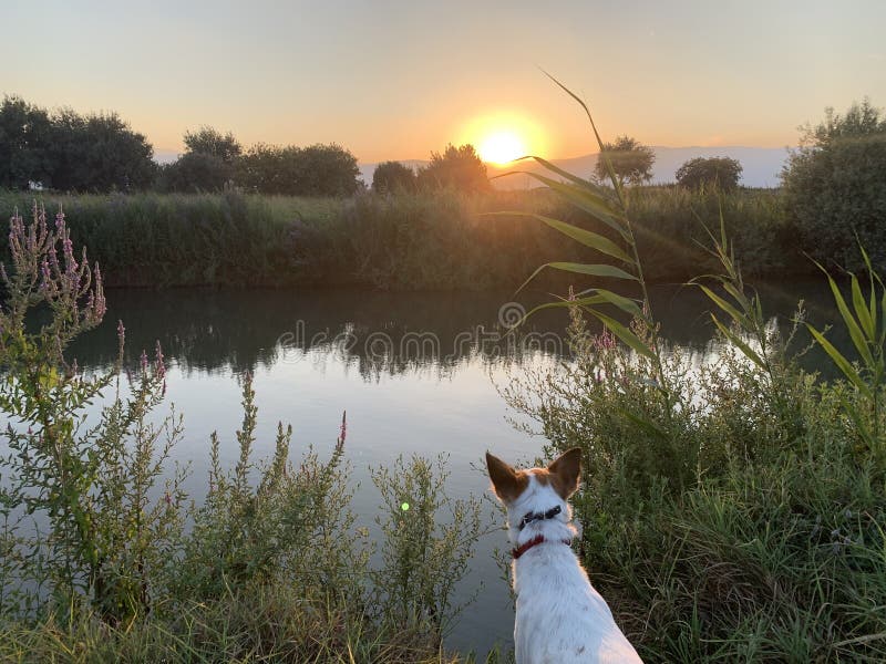 River Jordan stock photo. Image of reflection, grass - 231310884