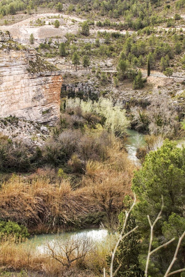 The River Jucar between Vegetation Stock Image - Image of good, pretty ...