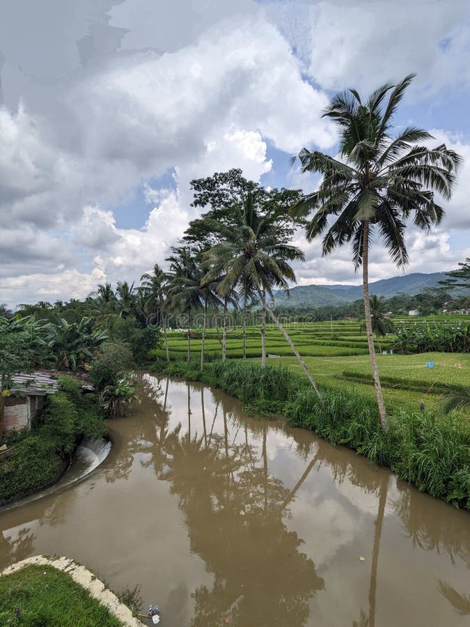 A River Junction that is Dammed for Irrigation Stock Image - Image of ...