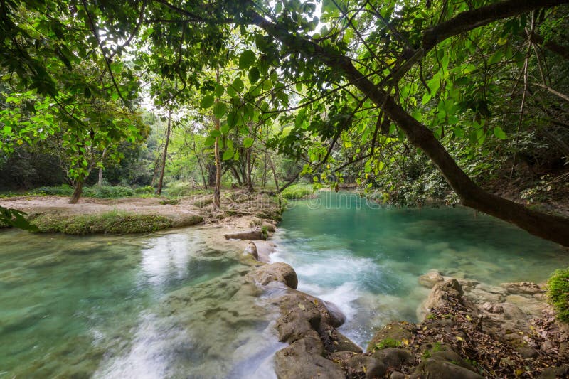 River in jungle stock image. Image of green, unusual - 277348587