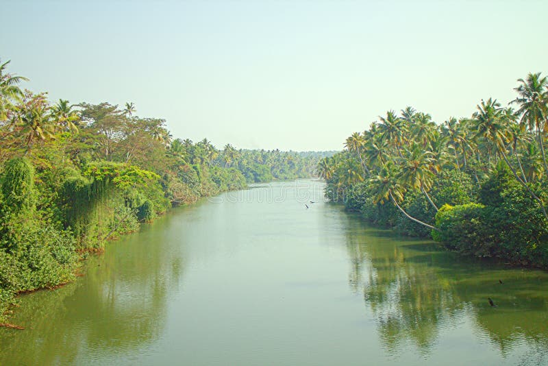 River in jungle stock image. Image of hiking, peaceful - 80430203