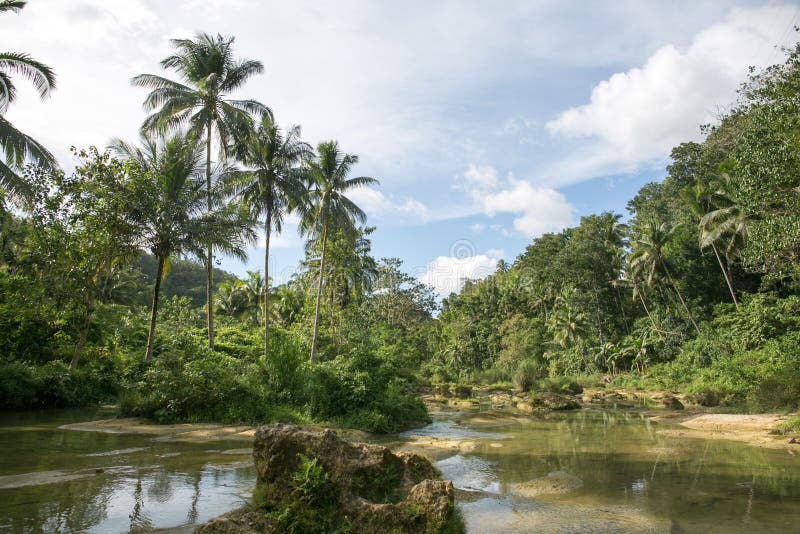 A river in the jungle stock photo. Image of relaxation - 181489442
