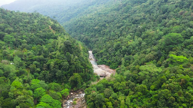 River in the Jungle View from Above. Sri Lanka. Stock Footage - Video ...