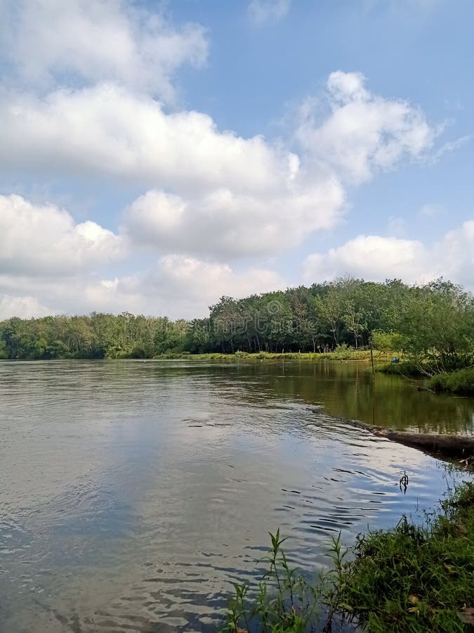 River of kampar stock image. Image of shore, river, cloud - 219229355
