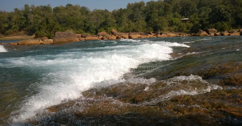 River kapili stock image. Image of india, assam, tree - 84742719