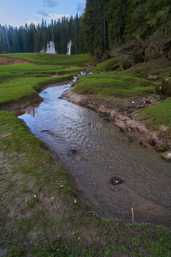 River from a Karst Spring in the Mountains Stock Image - Image of grass ...