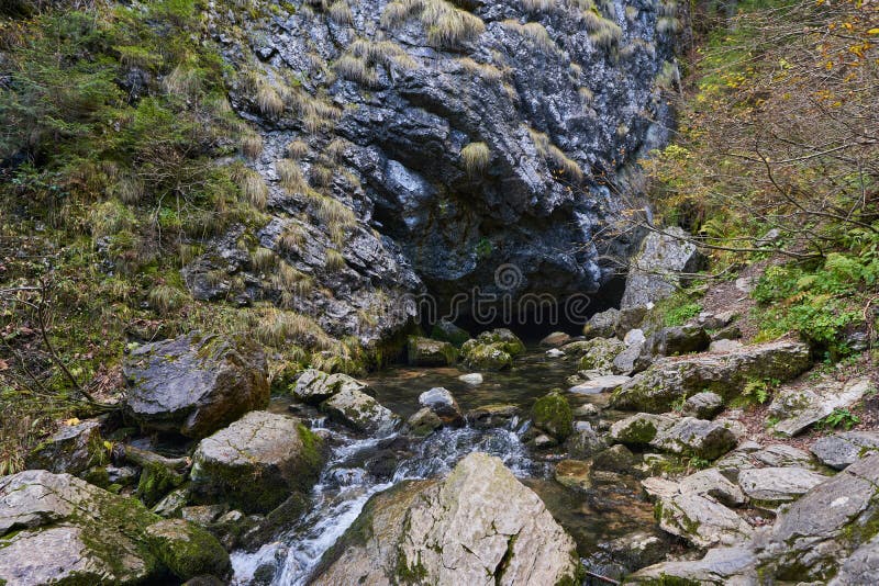 River from a Karst Spring in the Mountains Stock Image - Image of moss ...