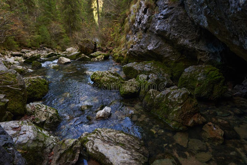 River from a Karst Spring in the Mountains Stock Photo - Image of karst ...