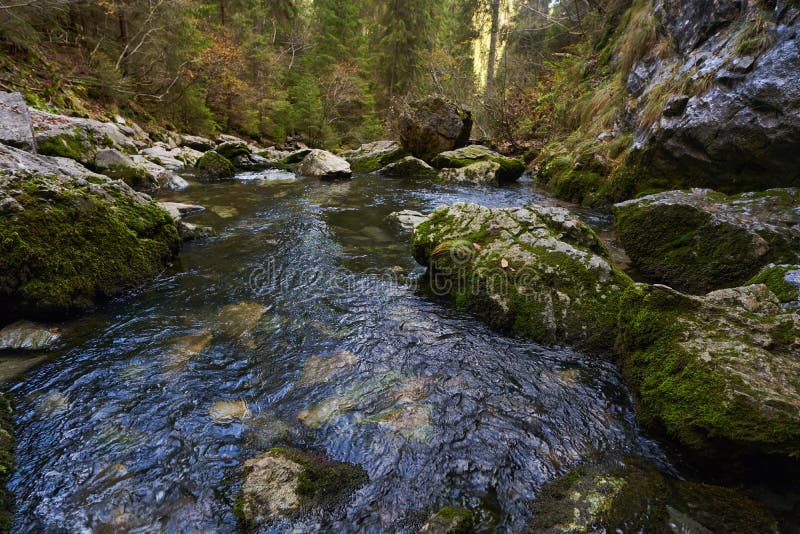River from a Karst Spring in the Mountains Stock Image - Image of ...