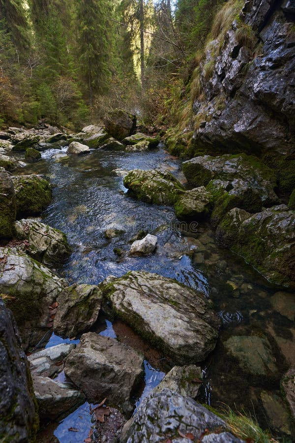 River from a Karst Spring in the Mountains Stock Photo - Image of scene ...