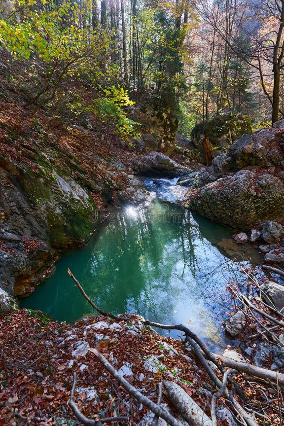 River from a Karst Spring in the Mountains Stock Image - Image of ...