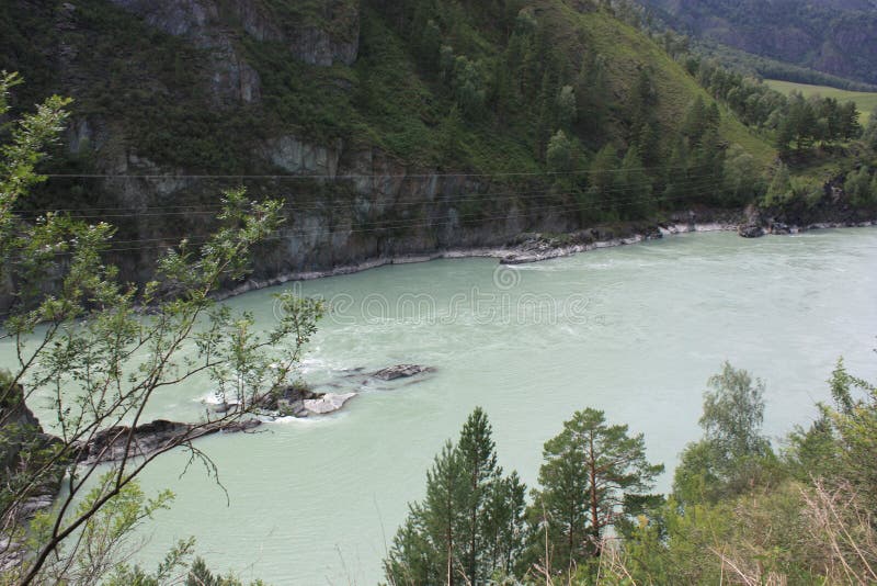 River Katun' Picture. Image: 57291853