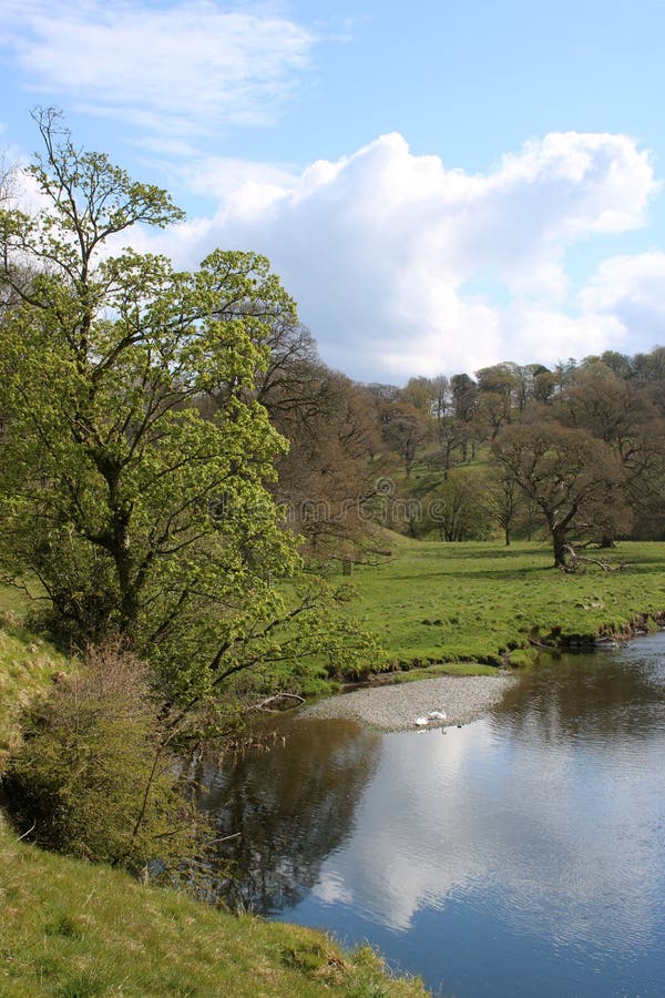 River Kent in Levens Hall Deer Park, Cumbria Stock Image - Image of ...