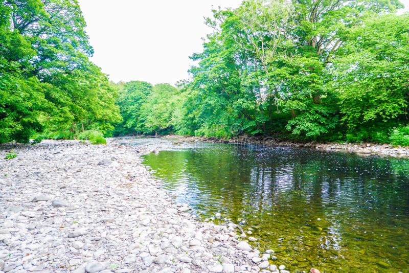 River Kent Running Over the Rocks and Pebbles with Tree Lined Banks ...