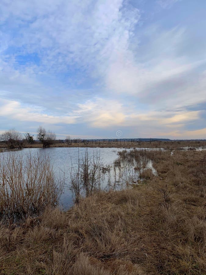 Spring nature stock photo. Image of spring, ukraine - 277575814