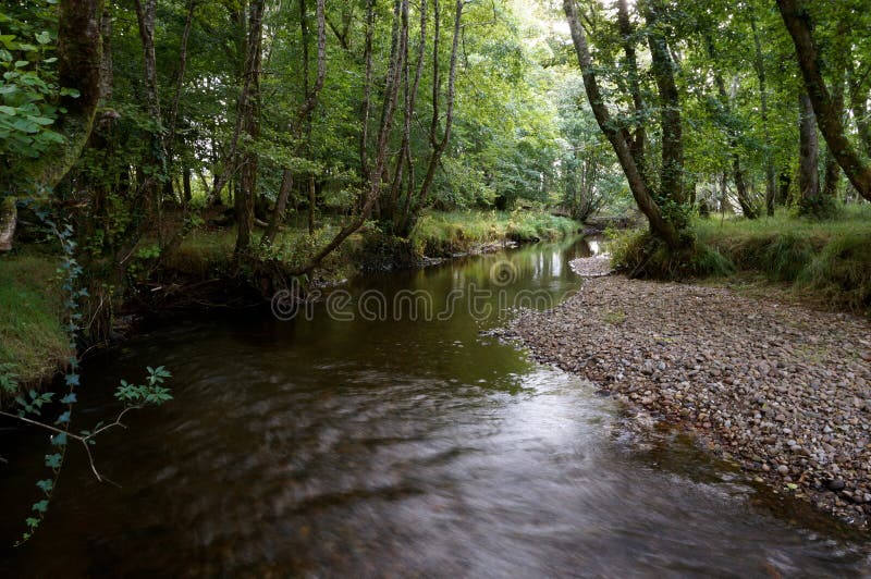 River in Killarney stock image. Image of river, ireland - 59978549