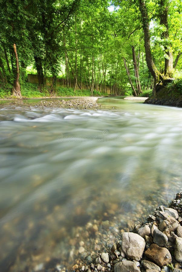 The river Know stock photo. Image of italy, trees, flow - 5526972