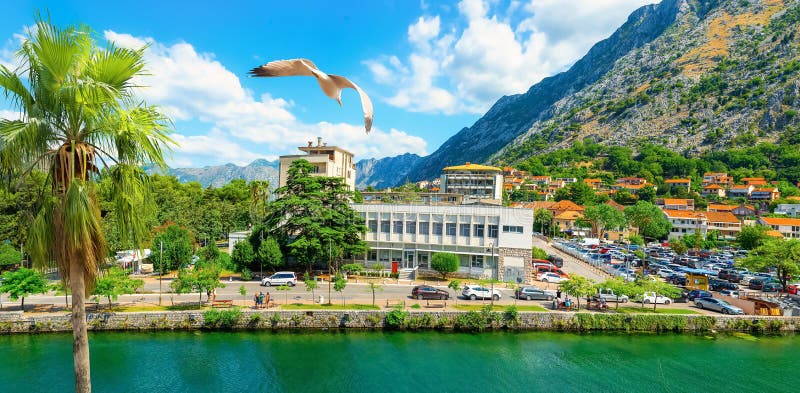 River in Kotor stock image. Image of landscape, view - 226204541