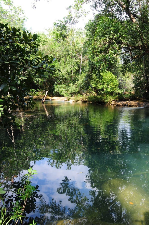 River lagoon stock image. Image of plants, rainforest - 93109737