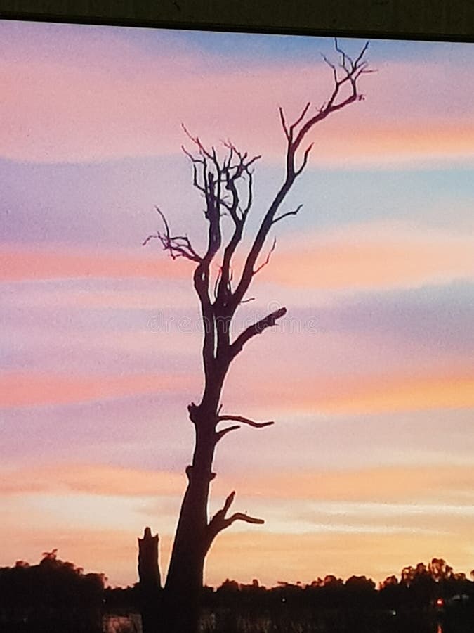 River Land South Australia Sun Set Adelaide Stock Photo - Image of ...