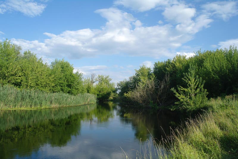 River, Land with Trees and Cloudy Sky Stock Image - Image of nature ...