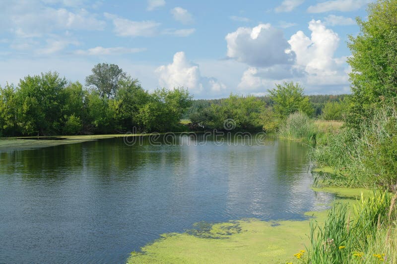 River, Land with Trees and Cloudy Sky Stock Photo - Image of outdoor ...