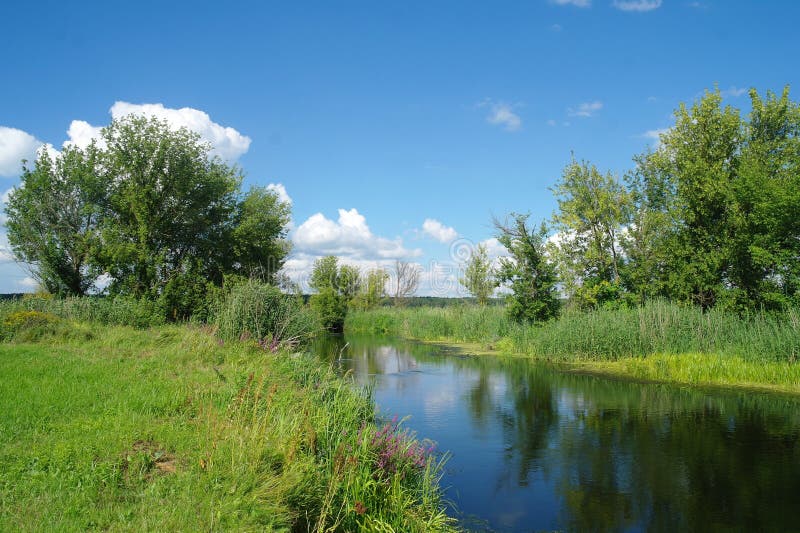 River, Land with Trees and Cloudy Sky Stock Photo - Image of earth ...