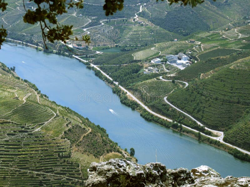 River landscape stock image. Image of vineyards, water - 1363185