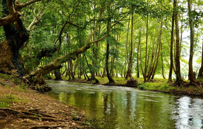 River landscape stock image. Image of park, countryside - 15403177