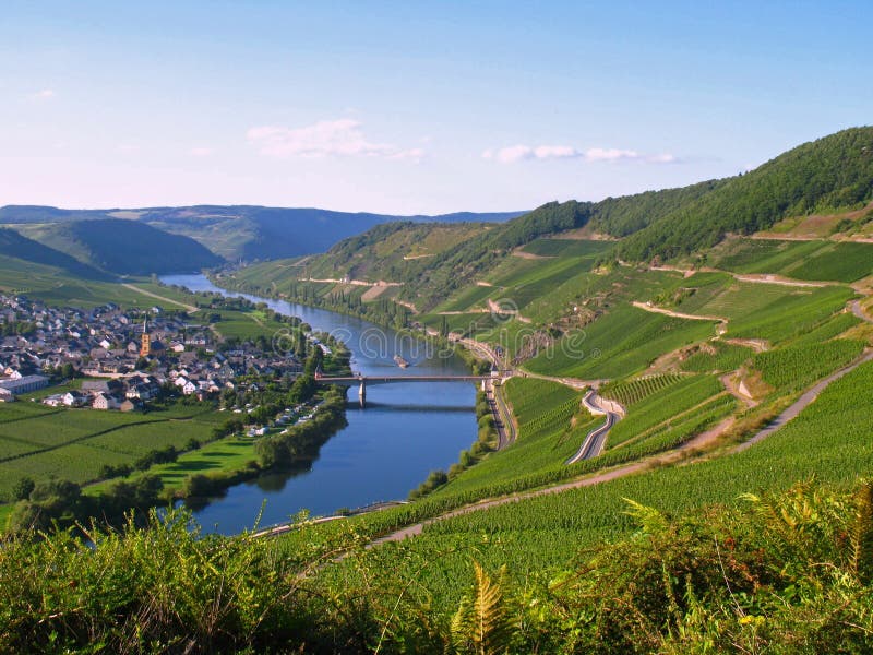 Vineyards in the Ahr Valley Stock Photo - Image of mayschoss, interest ...