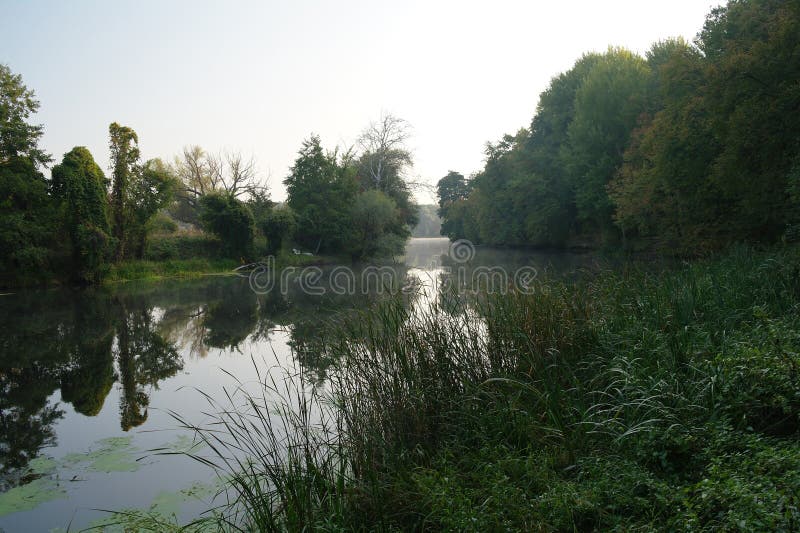 River landscape stock photo. Image of landscape, flora - 24290800