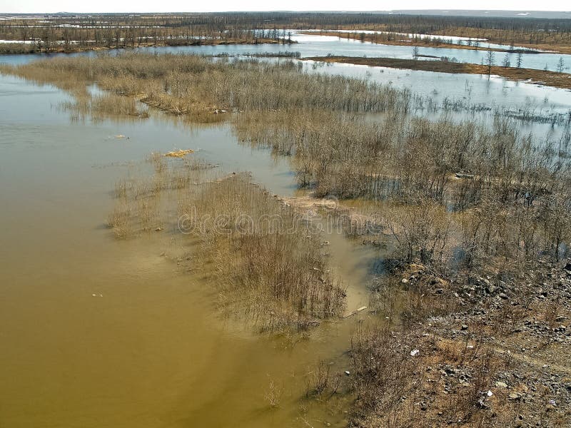 River Early Spring. Bare Trees, Melting Snow Stock Photo - Image of ...