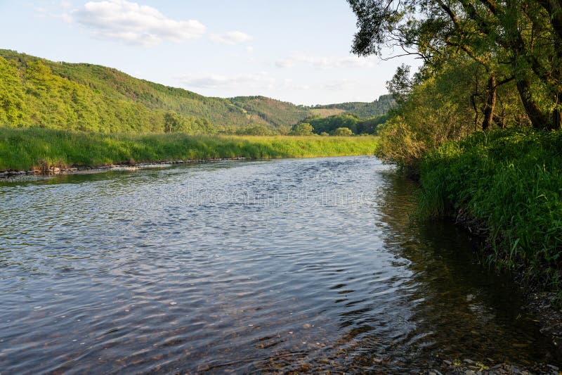 River Landscape - a River in a Green Landscape Stock Image - Image of ...