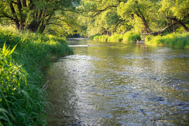 River Landscape - a River in a Green Landscape Stock Image - Image of ...