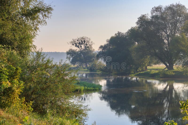 River Landscape on a Sunny Summer Morning on a Background of Green ...