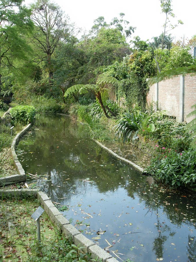 River Landscape in the Taipei Botanical Garden Stock Image - Image of ...