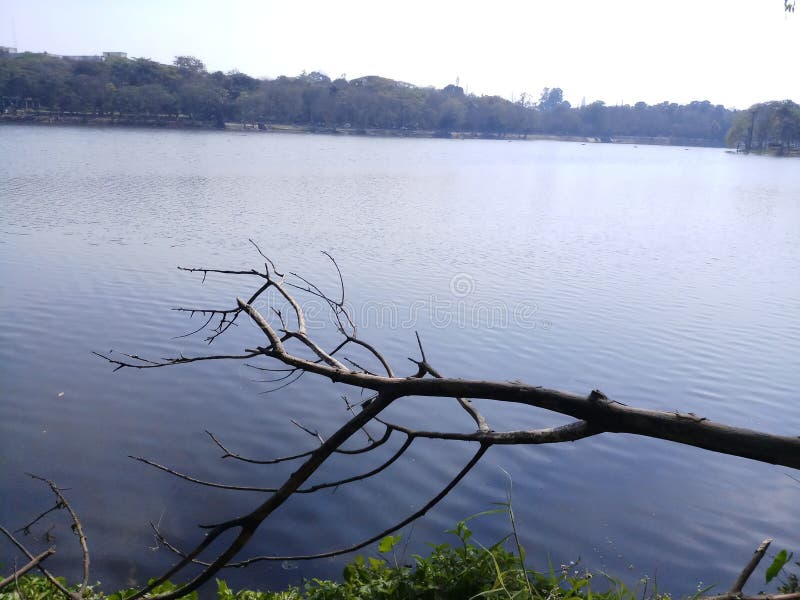 River Landscape and Tree Branches Stock Photo - Image of hike, dawn ...