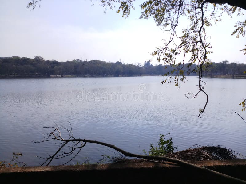 River landscape with trees stock image. Image of peak - 173723939