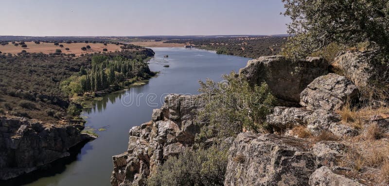 River landscape with trees stock image. Image of canyon - 157011733