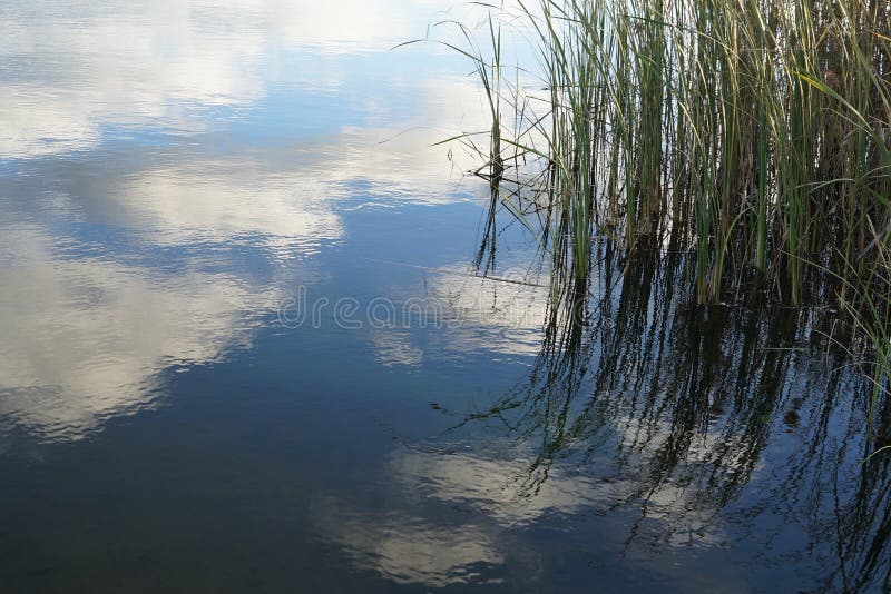 River stock image. Image of design, environment, clear - 67588727