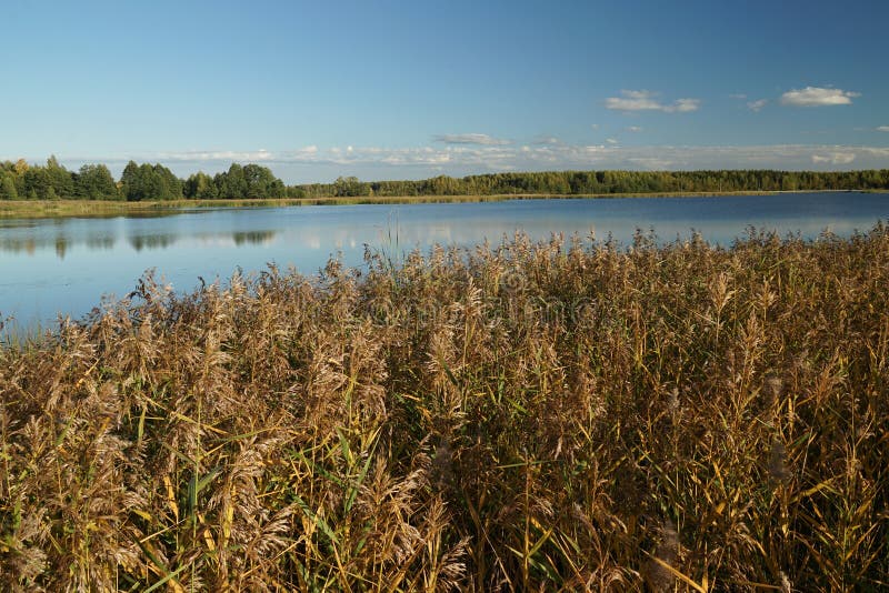 River stock image. Image of beauty, nature, fall, natural - 67411455