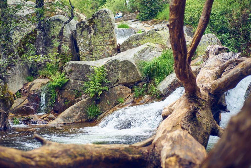 River Landscape with Waterfall and a Fallen Tree Trunk Inside the Water ...