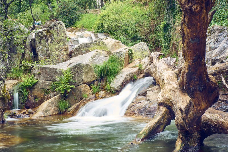 River Landscape with Waterfall and a Fallen Tree Trunk Inside the Water ...