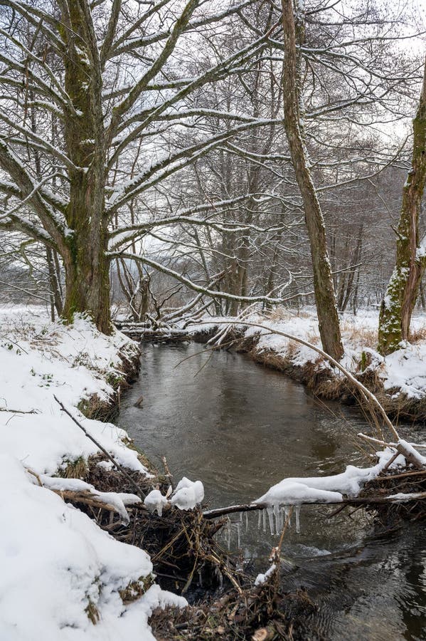 River Landscape in Winter with Lots of Snow Stock Photo - Image of ...