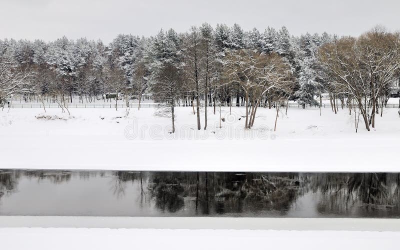 River Landscape in Winter. Pine Forest Stock Image - Image of winter ...