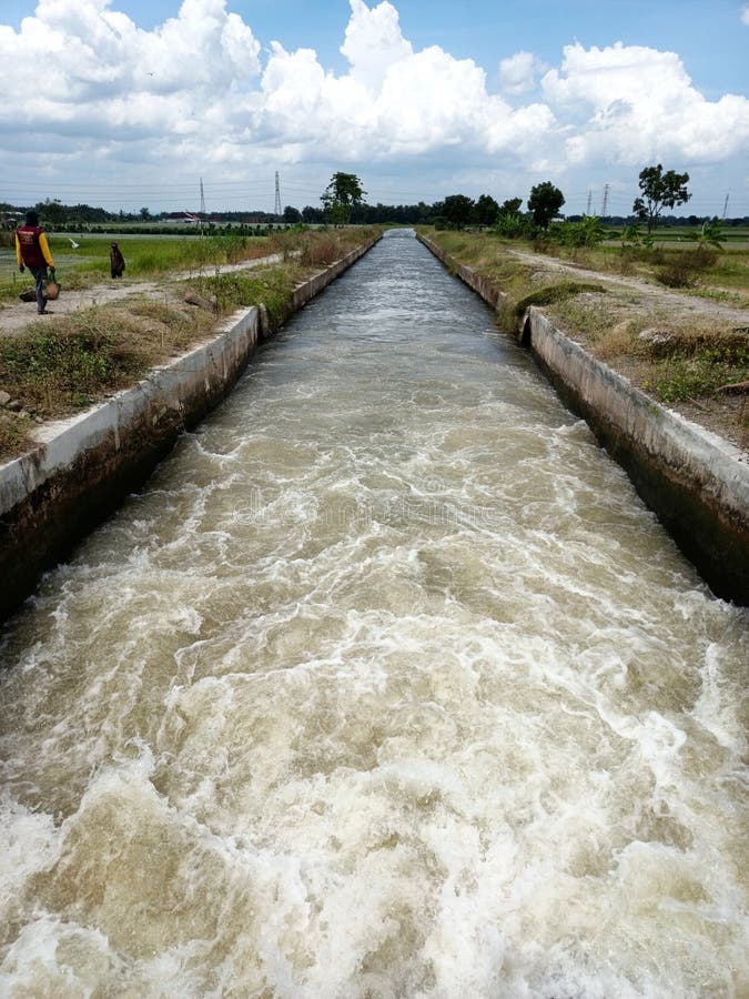 A River is a Large, Elongated Surface Water Flow that Flows ...