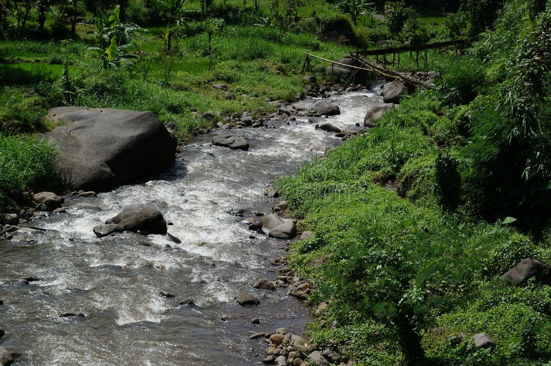 The River that Divides the Plantation Stock Image - Image of forest ...