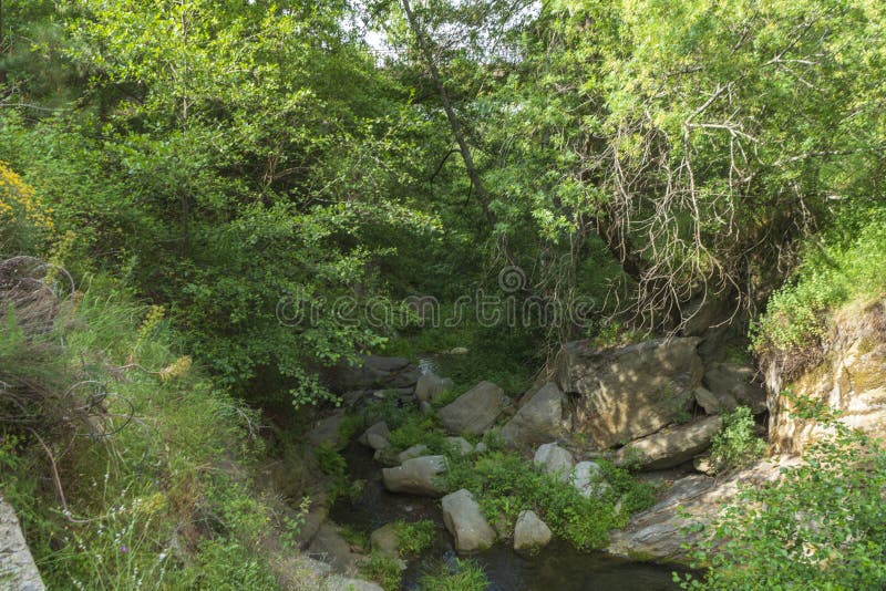 River with Large Rocks in Its Channel Stock Photo - Image of forest ...